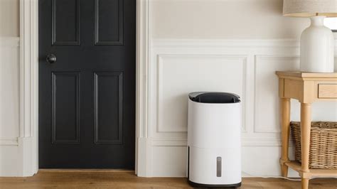 The Best Dehumidifiers For Tackling Damp And Condensation Homebuilding