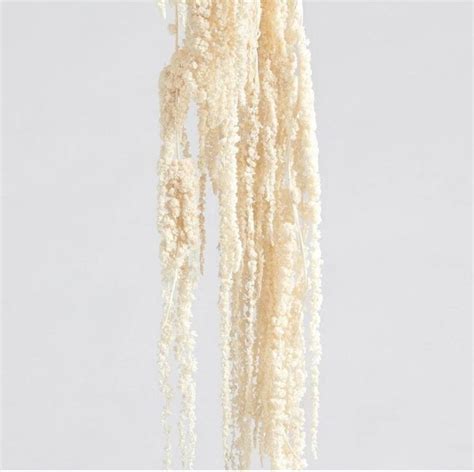 Unique Wedding Decor 17 Types Of Grasses And Dried Flowers