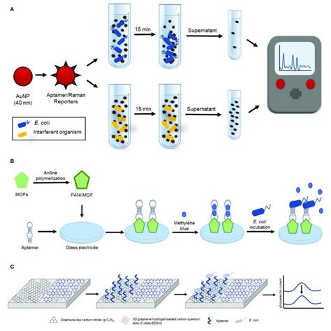 Pdf Aptamer Based Biosensors For Environmental Monitoring