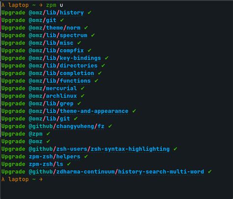 Cant Upgrade Error For A Lot Of Packages Issue 56 Zpm Zsh Zpm GitHub