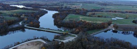 Cameron Mo Official Website