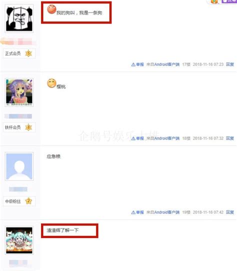明日之后：狗取什么名字好？渣渣辉还能忍，看到这个真的不能忍了 搜狐大视野 搜狐新闻