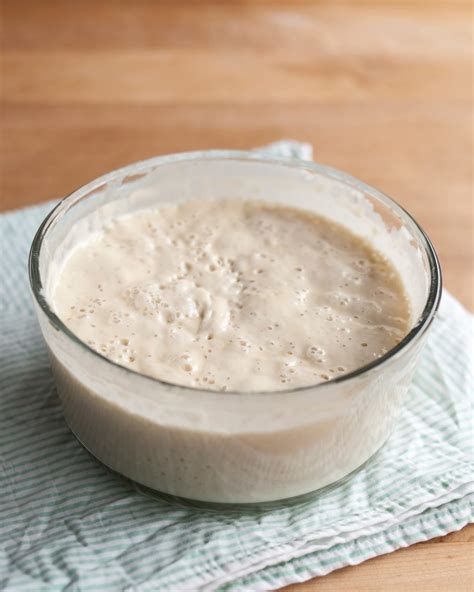 How To Make Sourdough Starter From Scratch Kitchn