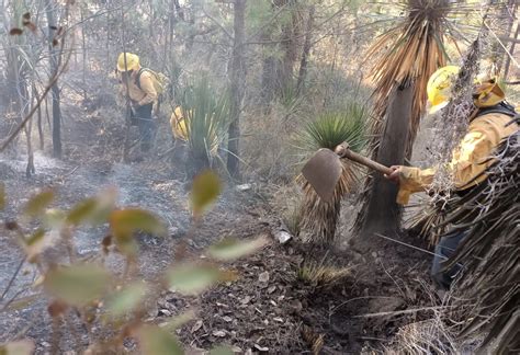 Garantiza Gobierno Estatal Cuidado Ambiental Con Centro Estatal De