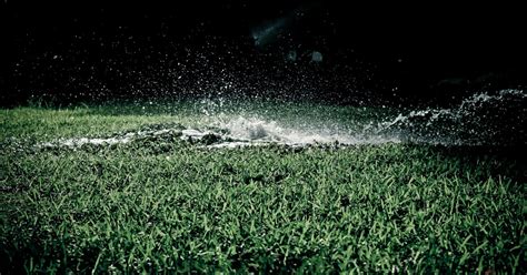 Watering Grass Seed At Night Bad For Your Lawn Lawn Chick