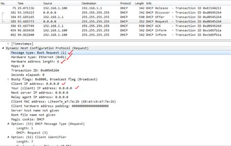 Network Engineer Stuff Wireshark Dhcp Packet Analysis