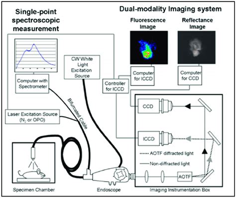 Hardware Components Of The Hyperspectral Imaging System With Expletive