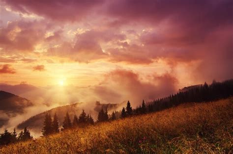 Premium Photo Foggy Morning Landscape