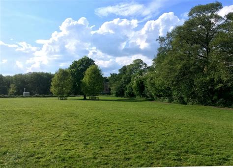 How Lawn Aeration Can Solve Drainage Problems And Improve Grass Growth