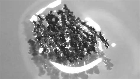 These Tiny Magnetic Robots Can Navigate Obstacles And Carry Heavy Objects The Debrief