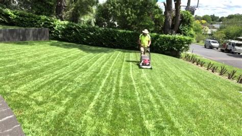 How To Make Grass Lines When Mowing At Haydee Johnson Blog