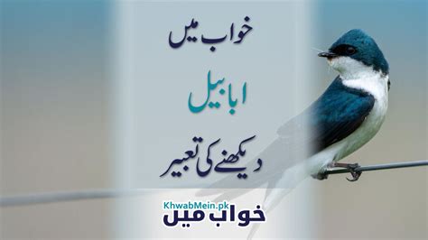 Khwab Mein Ababeel Dekhnay Ki Tabeer Khwabmein Pk