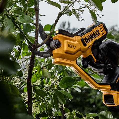 Dewalt DCMPP568N-XJ 18V XR Grensaks – Solo