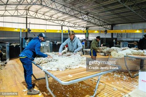 Classing Photos And Premium High Res Pictures Getty Images Classing Photos And Premium High Res Pictures Getty Images