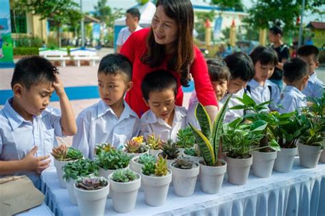 Học Sinh Hà Nội Nô Nức Mang Vỏ Sữa đổi Cây Xanh HiỆp HỘi SỮa ViỆt Nam