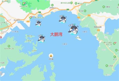 小布去哪了游走在大鹏湾盐田海域和香港海域 深圳24小时 深新闻 奥一网