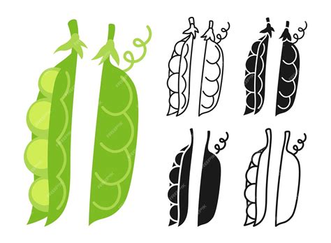Groene Erwt Cartoon Lineaire Symbool Set Stijl Silhouet Erwten Bean Plantaardige Pictogram