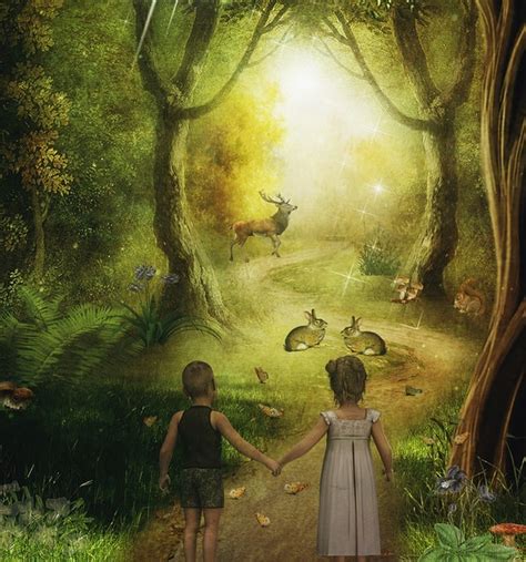 Forest Children Boy - Free image on Pixabay