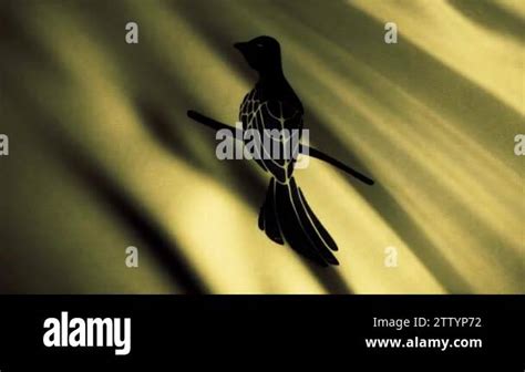 Fluttering Golden Flag With A Mockingbird Sitting On A Small Branch Seamless Loop Baelish