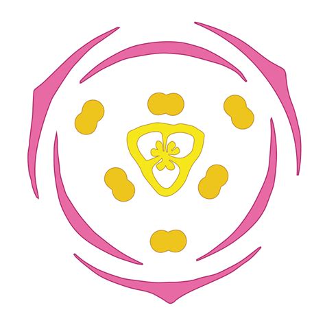 ملفtulip Flowerdiagramsvg المعرفة