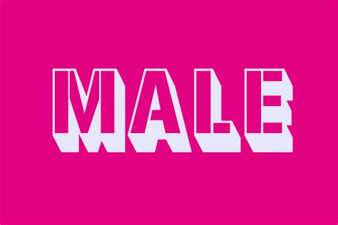 Male In Different Languages 134 Translation And Listening Translate How