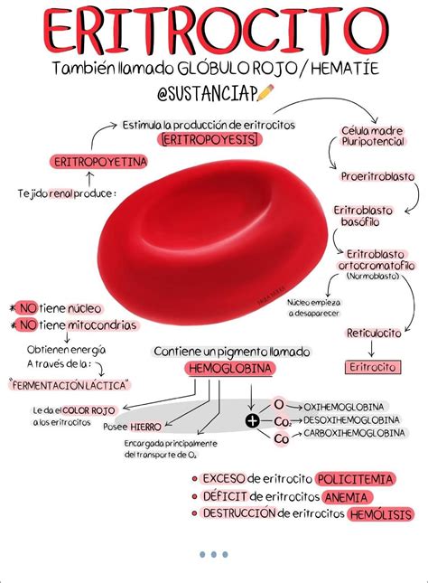 Mapas Mentais Sobre Mitocôndria Mapa 10