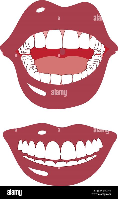 Happy Big Smile With White Teeth Vector Illustration Stock Vector