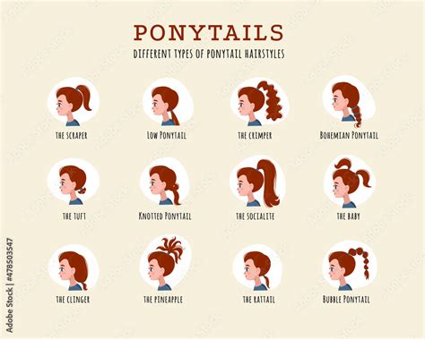 Set Of Hairstyles Ponytails Different Types Of Ponytail Hairstyles
