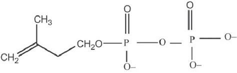 Biochem Final Ch 21 Flashcards Quizlet