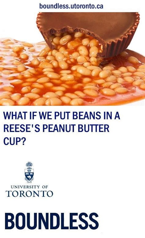 Stay B O U N D L E S S R Uoft