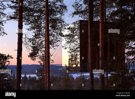 The Mirrorcube Design By Tham And Videgård Treehotel Harads Sweden