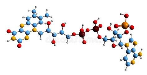3d Image Of Adenosine Monophosphate Skeletal Formula Stock Illustration