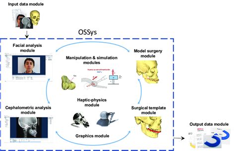1 Proposed Virtual Haptic Enabled Orthognathic Surgery System
