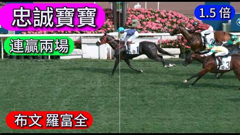 忠誠寶寶 J011 第四班 1400米 527場布文羅富全 沙田 2024 03 24 第6場賽事重溫 Hugh
