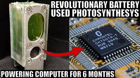 Algae Battery Ran For 6 Months Powering A Computer With Photosynthesis
