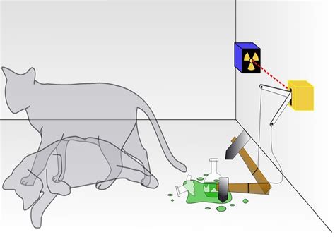 Physicists Breed Schrödingers Cat To Discover Limits Of The Quantum