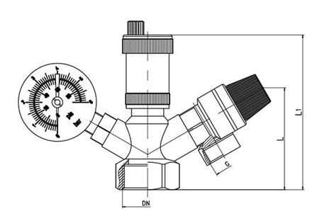 Обычай Предохранительный клапан с воздухоотводчиком и манометром Поставщики Фабрика