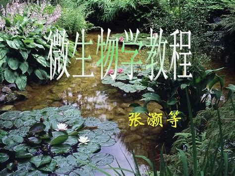 01 绪论 微生物学简介 食品微生物学 江南大学 word文档在线阅读与下载 无忧文档