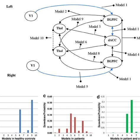 Effective Connectivity Analysis Dynamic Causal Modeling Signi Fi