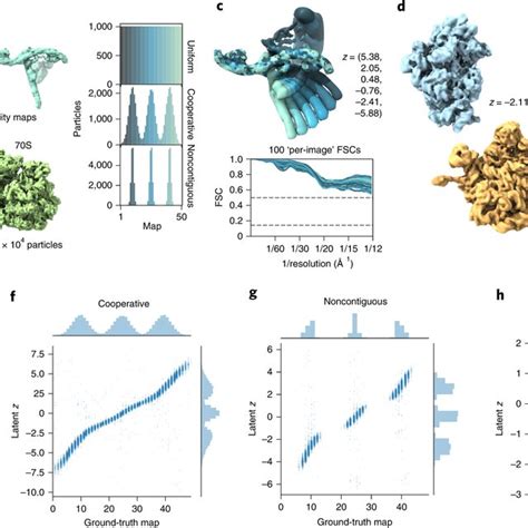 The Cryodrgn Method For Heterogeneous Single Particle Cryo Em