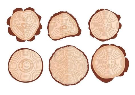Tree Rings Vector Art Icons And Graphics For Free Download