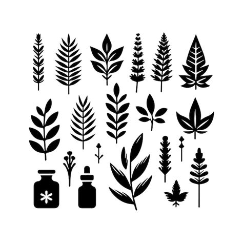 Premium Vector Leaves Foliage Greenery Foliage Silhouette Editable