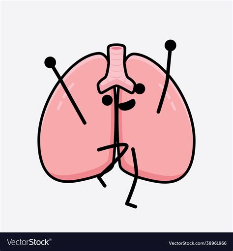 Simple Lungs Diagram
