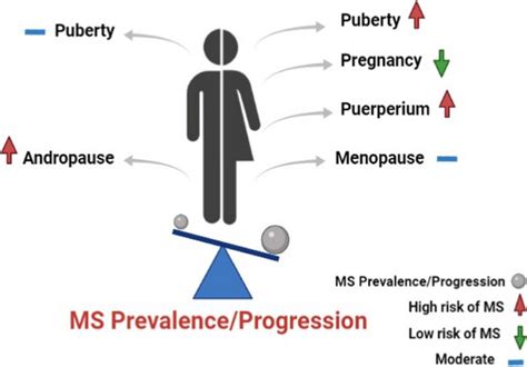 Ms Prevalenceprogression Diagram In Men And Women Download