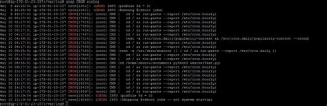 Script Run Manually But Not In Crontab There Are Several Reasons For