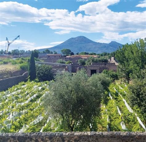 Geospatial Technology Forms Basis Of Digital Twin Of Pompeii Winter