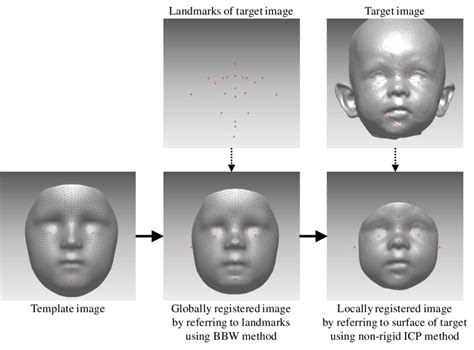 1 Hybrid Approach Of Template Registration Download Scientific Diagram