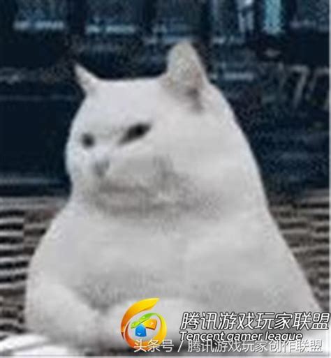 王者榮耀英雄高漸離：喜歡上阿軻了？ 每日頭條