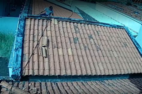 Vídeo Câmera Flagra Gcm Baleado Por Engano Por Pms Em Telhado Metrópoles