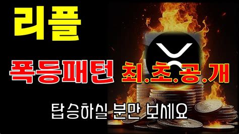 리플 분석 리플의 📈170 상승📈 보신 적 있으신가요 타점부터 목표까지 Youtube
